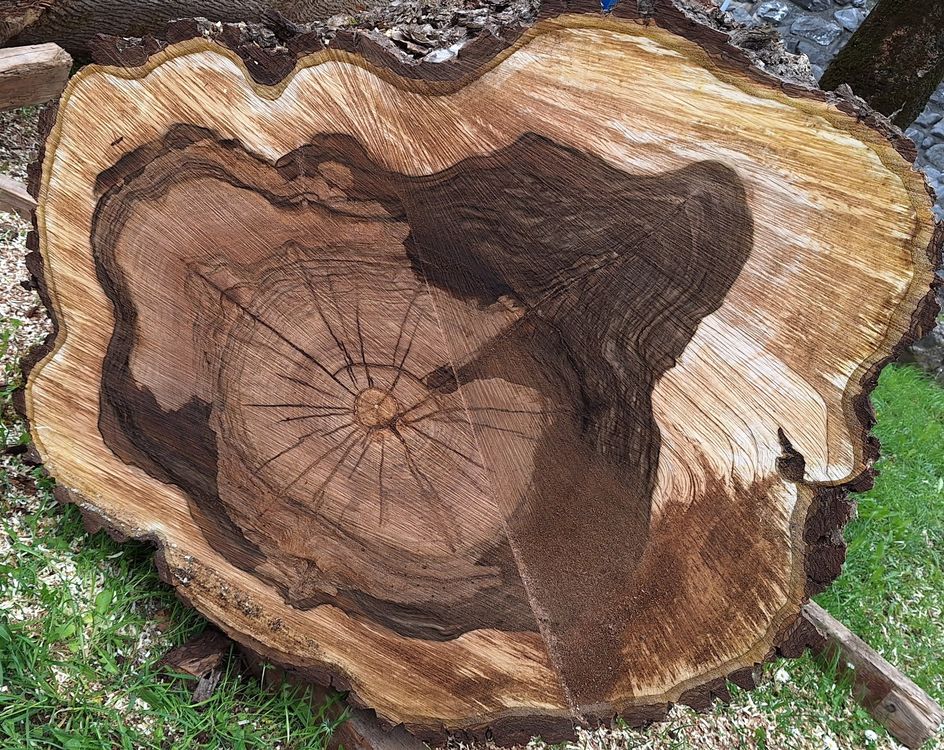 Nussbaum Nussholz Baumscheibe Saloon-Tisch basteln epoxi (Neu (gemäss Beschreibung)) in Bilten ...