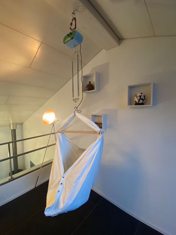 Baby Federwiege mit Motor und Hängematte (Gebraucht) in Brugg AG für ...