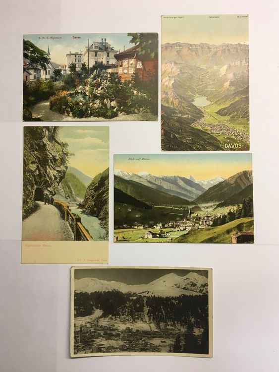 5 Stk Aks Davos 1920 Englischer Viertel S A C Kaufen Auf Ricardo