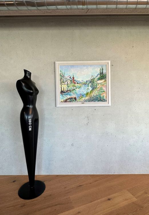 Hans-Rudolf Meyer - Swiss Art Selection (Gebraucht) in Sursee für CHF 390 – mit Lieferung auf ...