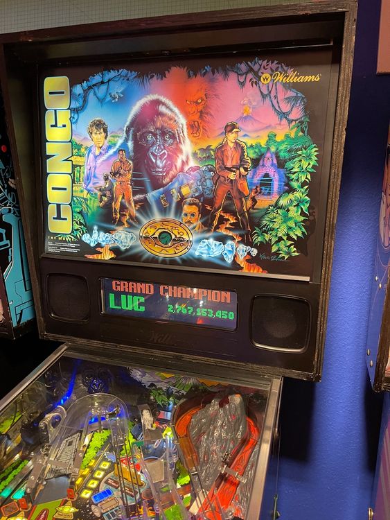 Flipper Congo (Gebraucht) in Horgen für CHF 6790 – nur Abholung auf ...