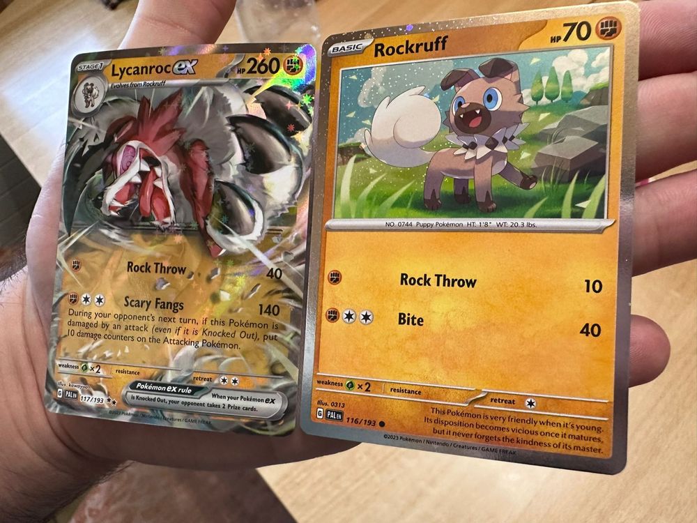 Pokémon Lycanroc EX / Rockruff Foil (box) Paldea (Neu (gemäss ...