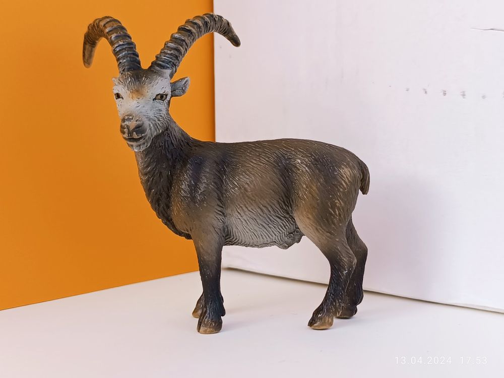 Steinbock - Schleich (Neu (gemäss Beschreibung)) in Beinwil am See für ...