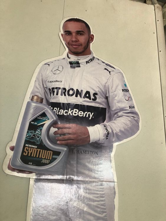 Lewis Hamilton Lebensgrosse 2D Pappfigur (Gebraucht) in Hefenhofen für ...