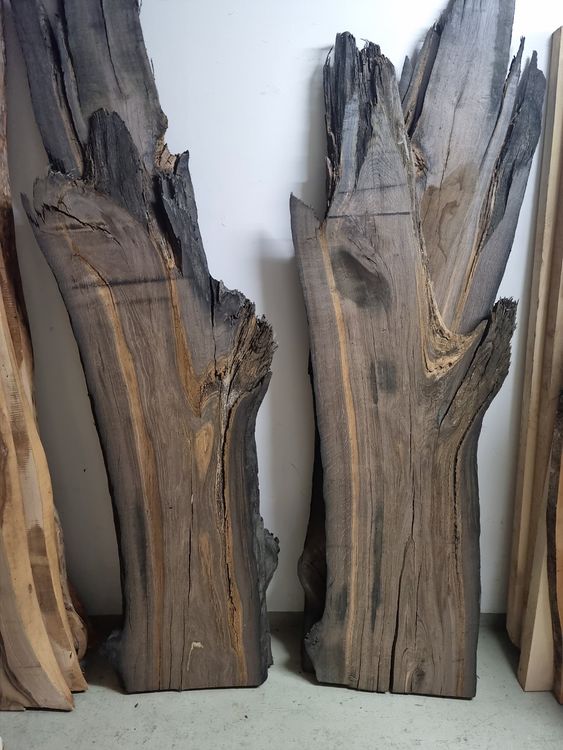 Mooreiche Bretter Unikat bog Oak Edelholz Massivholz Deko | Kaufen auf ...