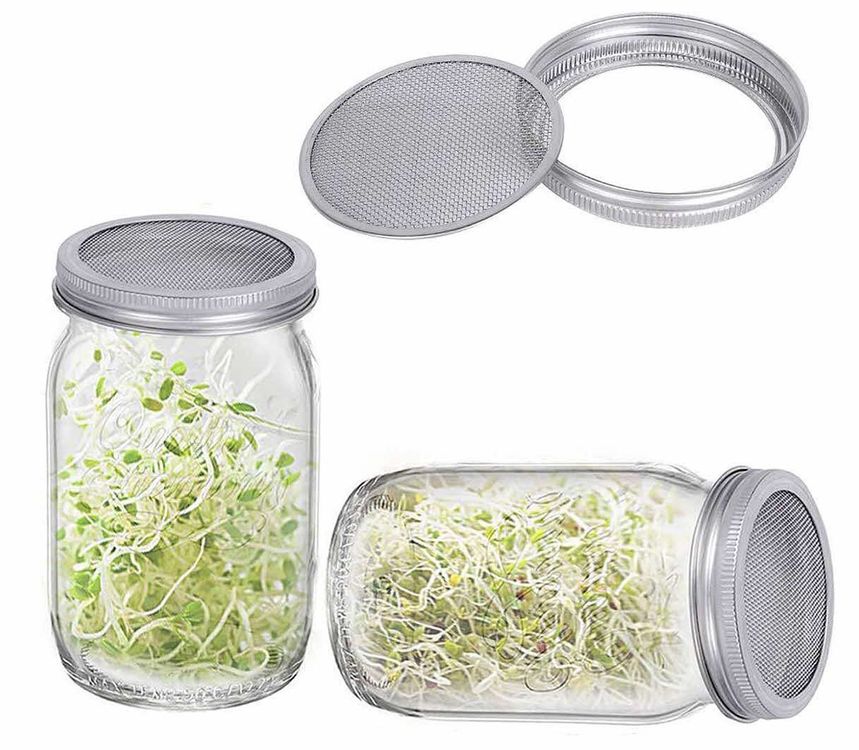 Keimglas Fur Sprossen