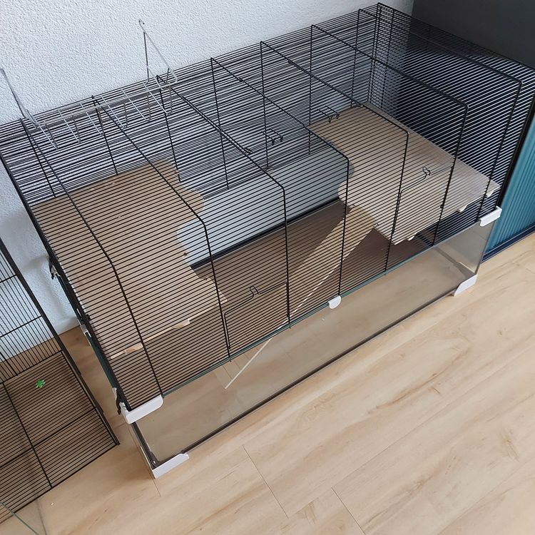 Hamsterkäfig oder Mäusekäfig (Gebraucht) in Bonau für CHF 100 – nur ...