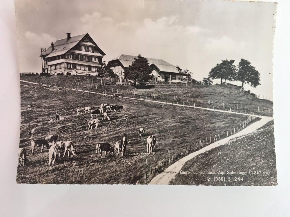 Gast- und Kurhaus Alp Scheidegg, 1960 | Kaufen auf Ricardo