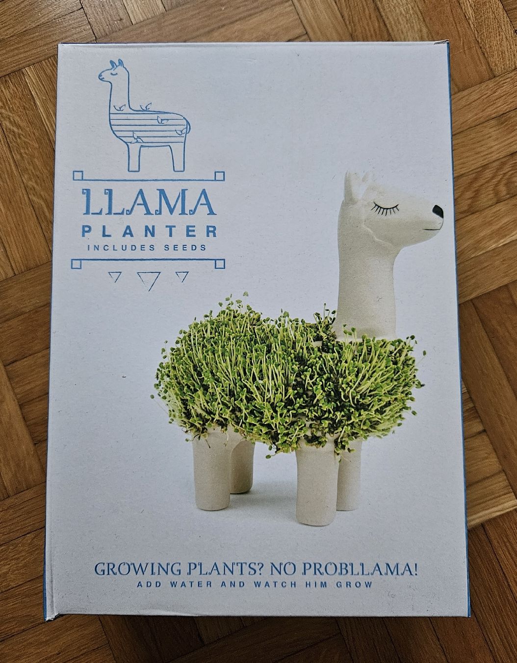 Lustiges Chia Pflanzenlama - Ideal für den Frühling drinnen! (Neu und ...