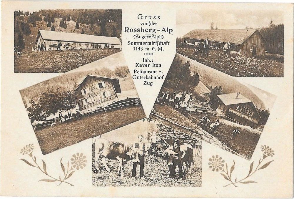 Rossberg-Alp Zuger Alpli 5 Bilder (Gebraucht) in Olten für CHF 25 – mit Lieferung auf Ricardo kaufen