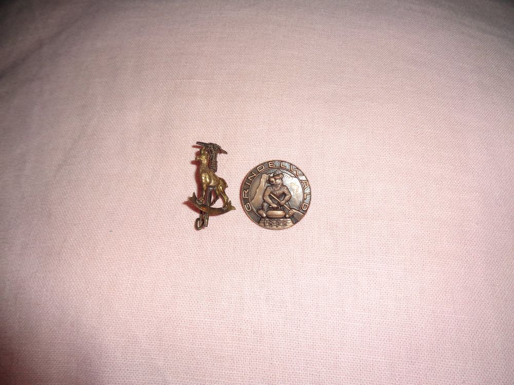 Vintage Broschen *** / ab 1.00 (Gebraucht) in für CHF 1 – mit Lieferung ...