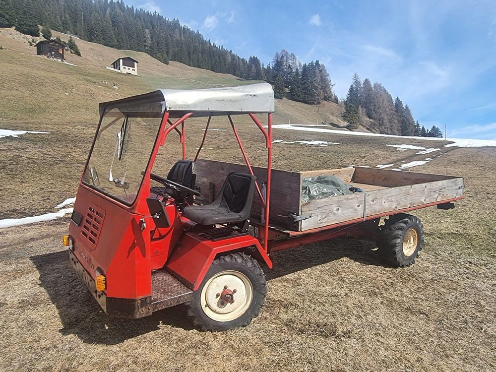 Transporter AEBI TP20 | Kaufen auf Ricardo