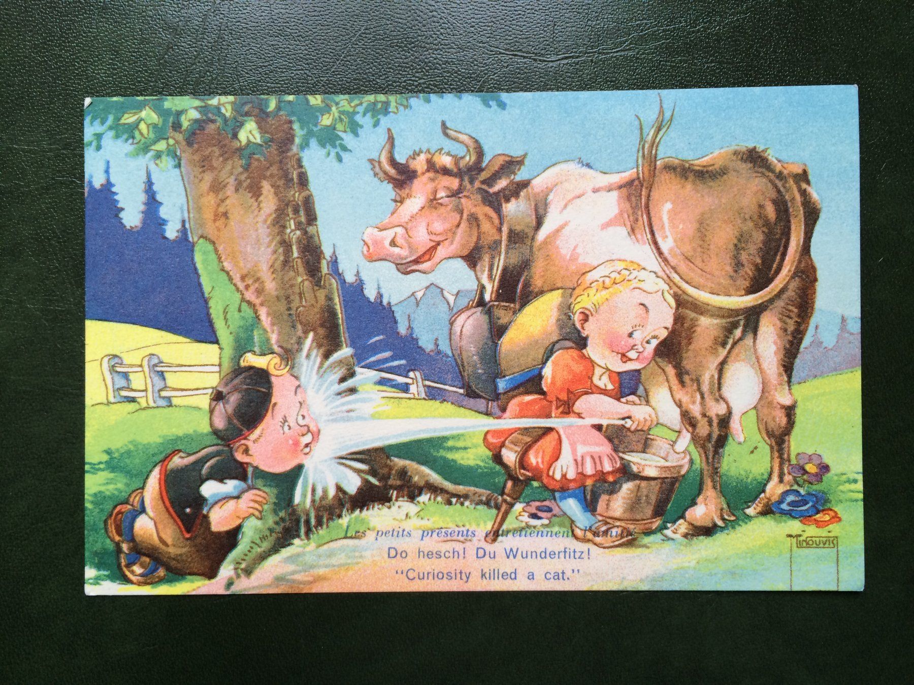 Minouvis Nr. 35 / AK Humor Comics Künstler Postkarte Agrar (Gebraucht ...