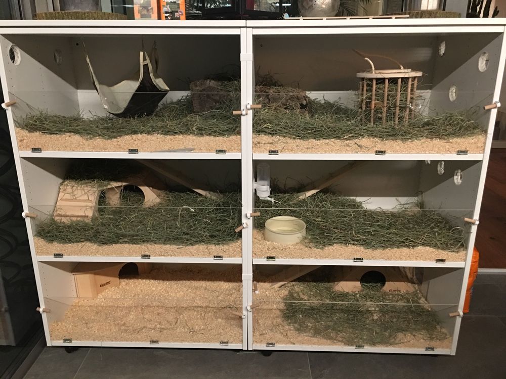 Wunderbar Meerschweinchen Kfig Xxl Indoor Bilder