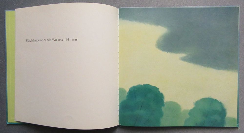 Ein Sommerregen - Bilderbuch illustriert von Kota Taniuchi (Gebraucht ...