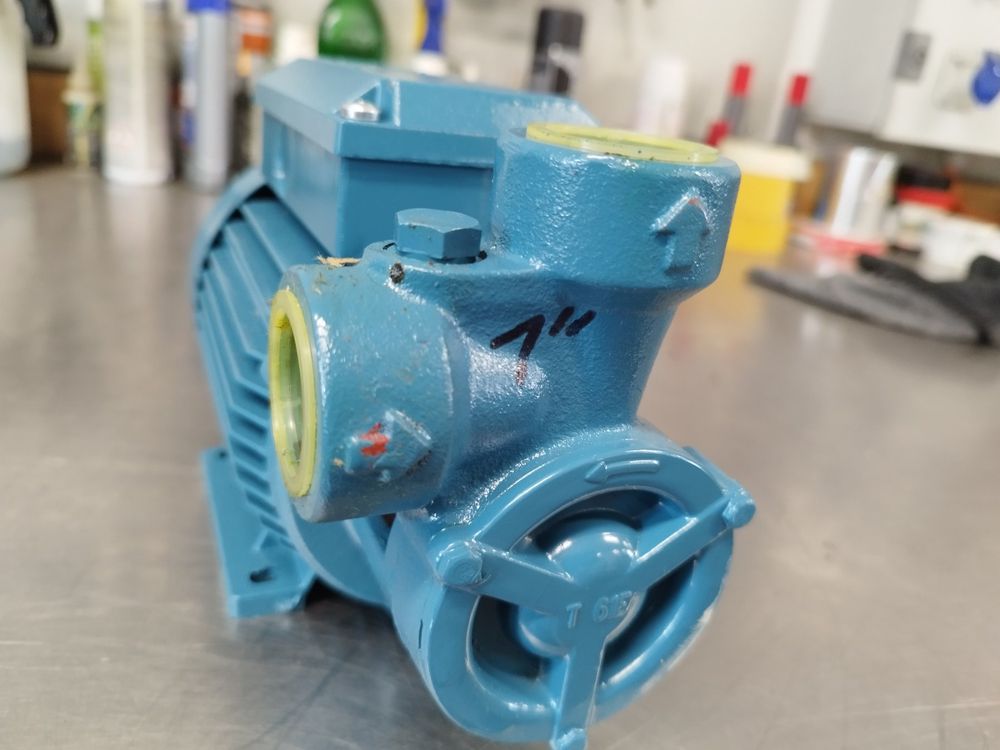 neue selbstansaugende Wasserpumpe Calpeda T61E (Neu und ...