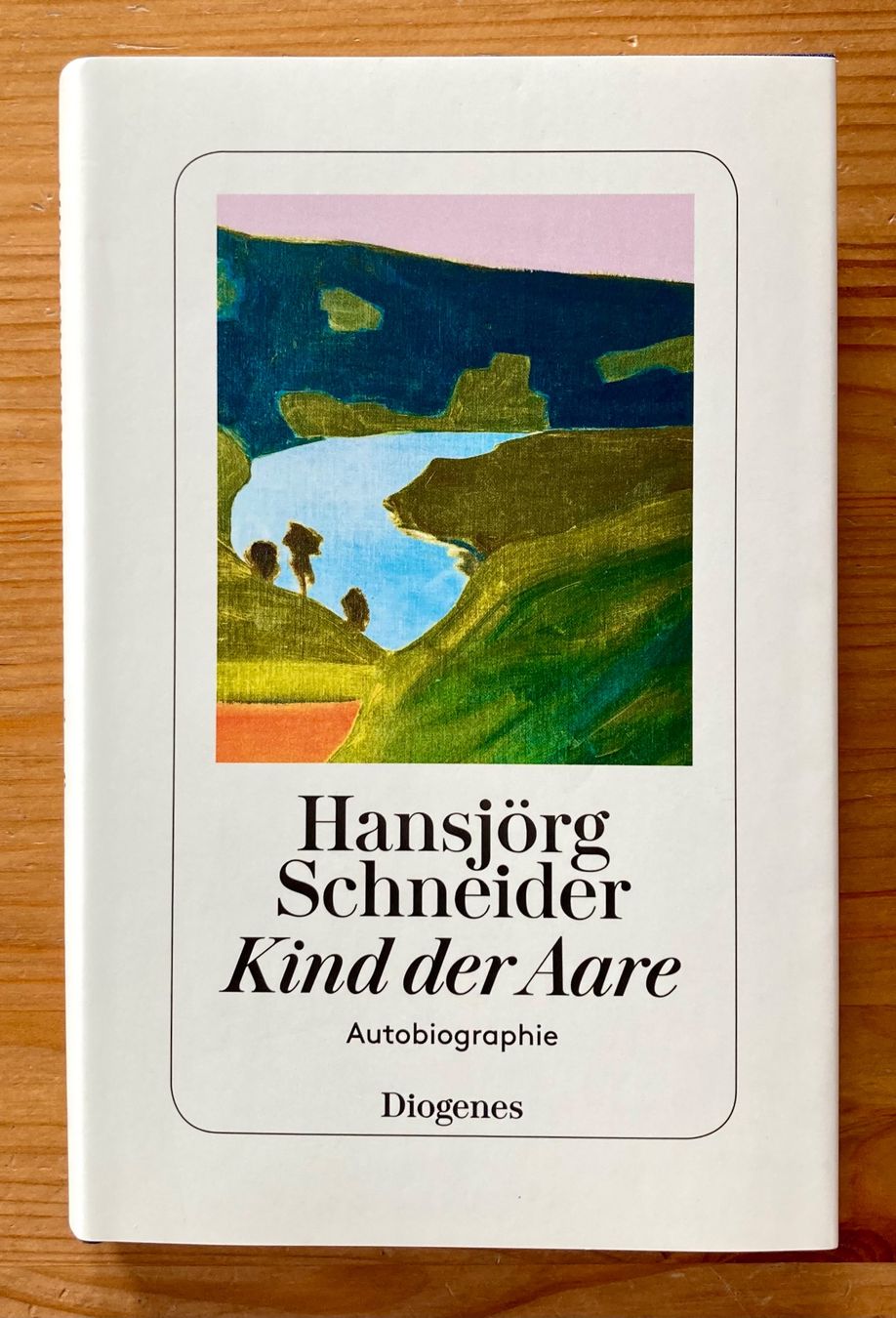 Hansjörg Schneider: Kind der Aare (Diogenes) (Neu (gemäss Beschreibung)) in Zürich für CHF 6.3 ...