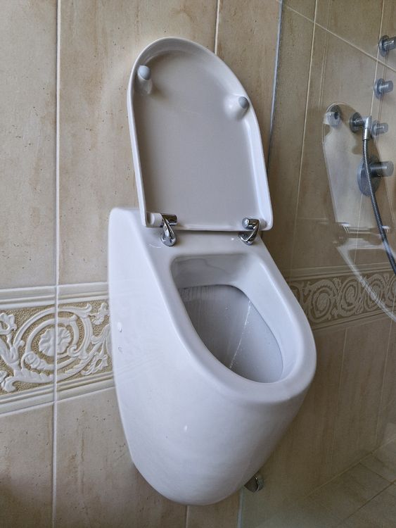 Weisses Wand-Pissoir / Urinal (Gebraucht) in Balterswil für CHF 1 – nur ...