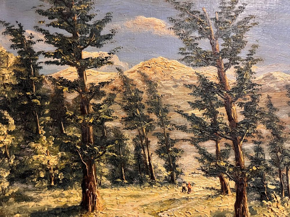 🔥Busnelli Tessiner Kunstmaler🔥 (Gebraucht) in Rikon im Tösstal für CHF ...