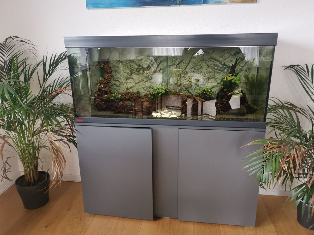 Aquarium Auf Rechnung