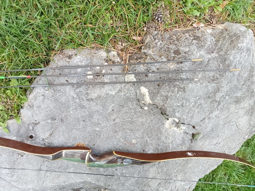 Arc de chasse / Jagdbogen (Gebraucht) in Lausanne für CHF 150 – mit Lieferung auf Ricardo kaufen