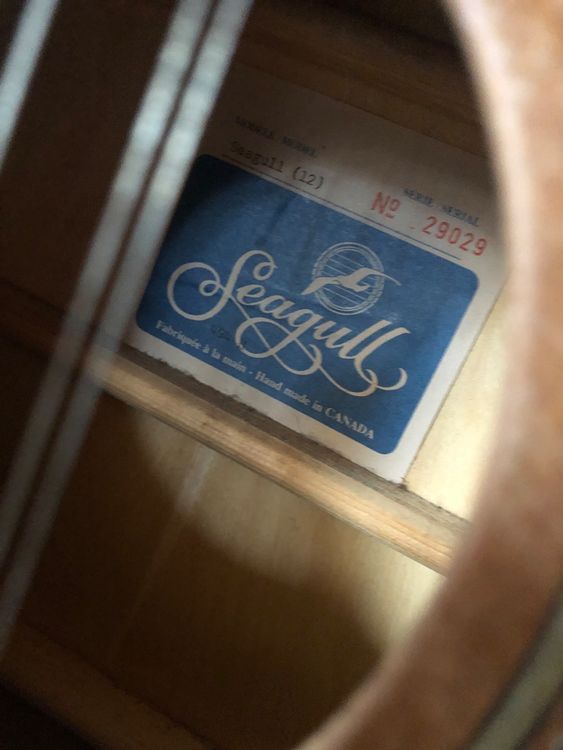 seagull 12 string acoustic guitar | Kaufen auf Ricardo