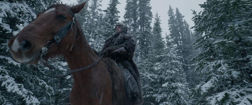 The Revenant (2015) Inarritu/Leonardo DiCaprio/Tom Hardy/BD (Gebraucht ...