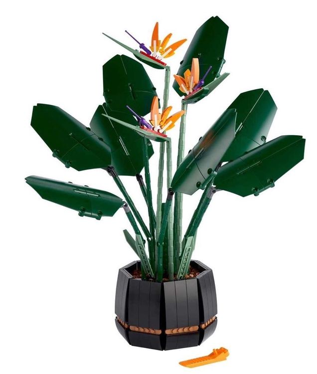 LEGO 10289 - Bird of Paradise, Botanical | Kaufen auf Ricardo