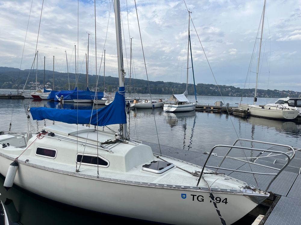 Segelboot Shark 24 (Gebraucht) in für CHF 10 – nur Abholung auf Ricardo kaufen