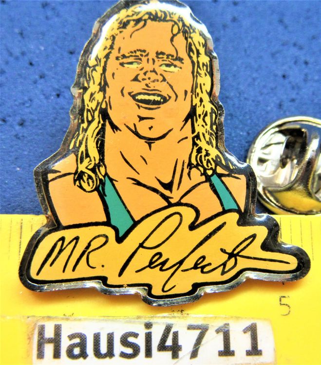Wrestling Pin Mrperfect Kaufen Auf Ricardo
