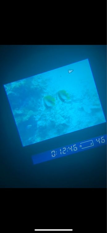 Sony VX1000E MiniDV – Playback einwandfrei/CCD-Problem (Gebraucht) in ...