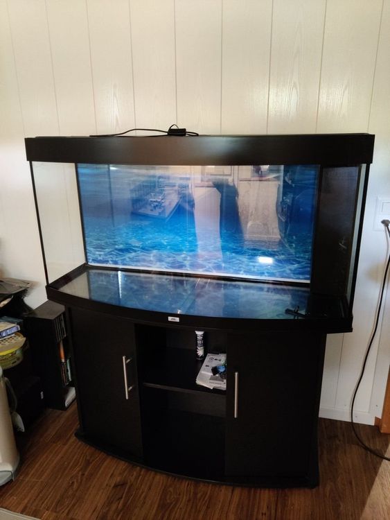 Süsswasseraquarium (Gebraucht) in Trimbach für CHF 190 – nur Abholung ...