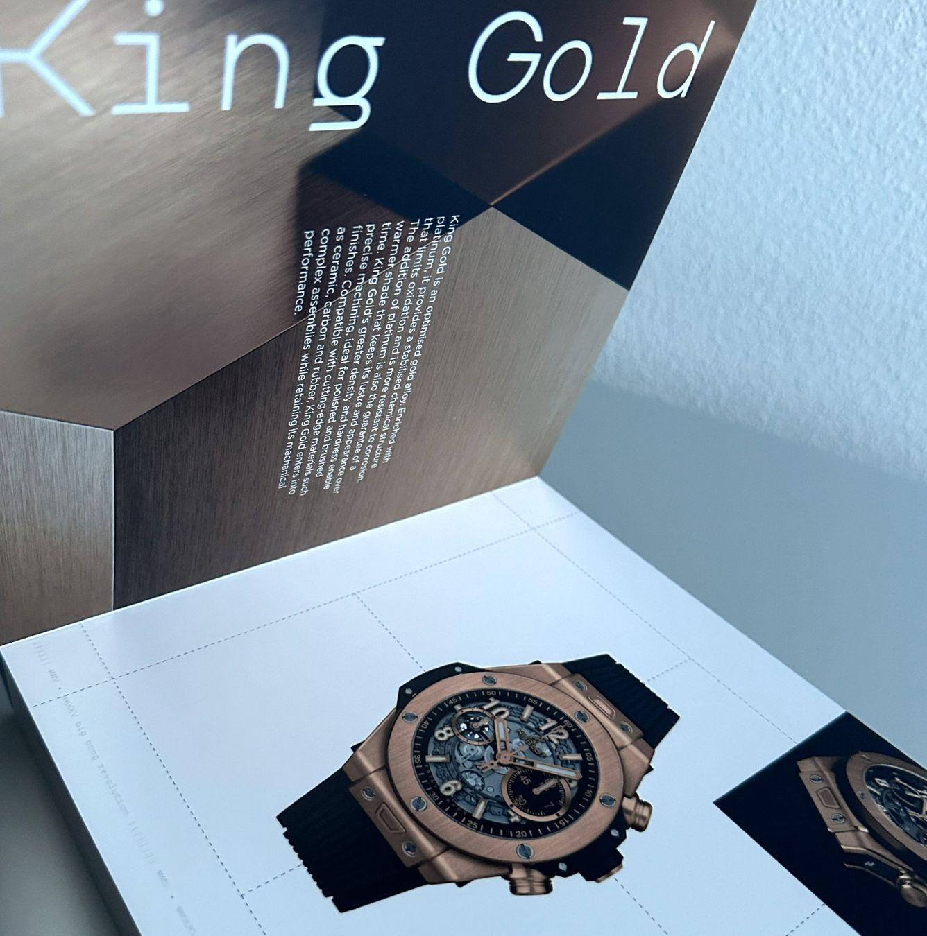 NEW HUBLOT Big Bang 20 Years Anniversary Watch Book (Neu (gemäss ...