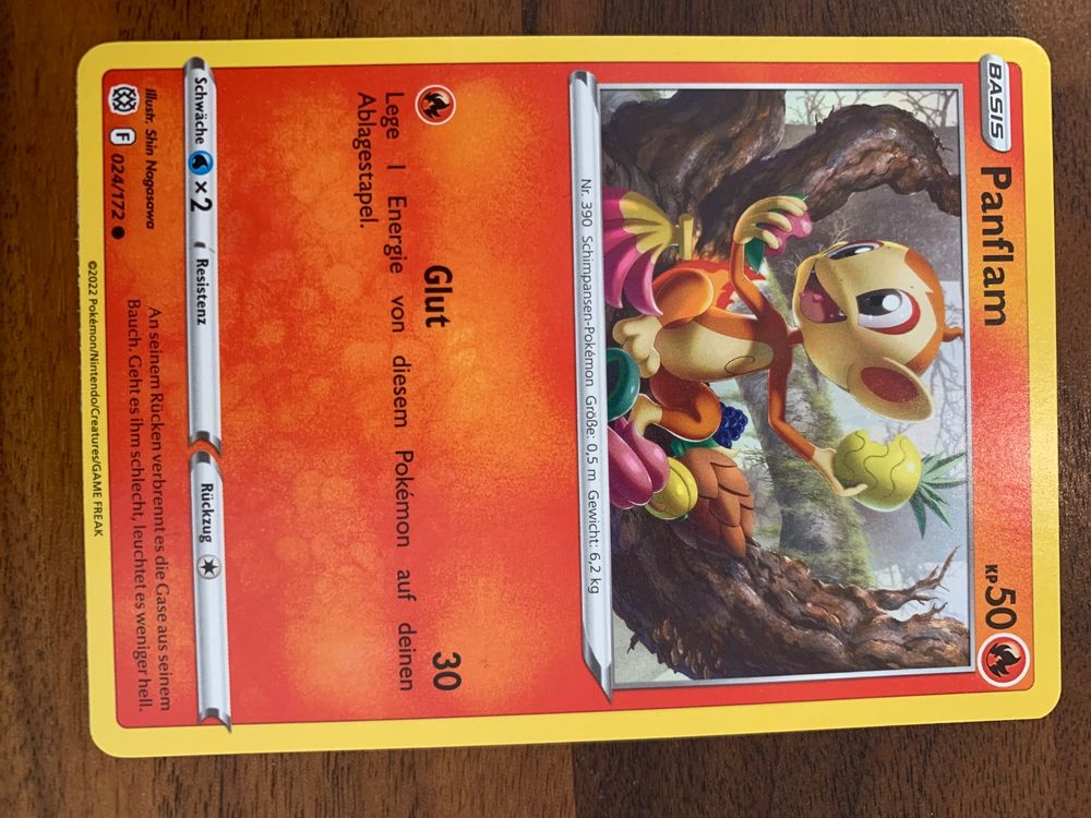 Panflam 24/172 | Kaufen auf Ricardo