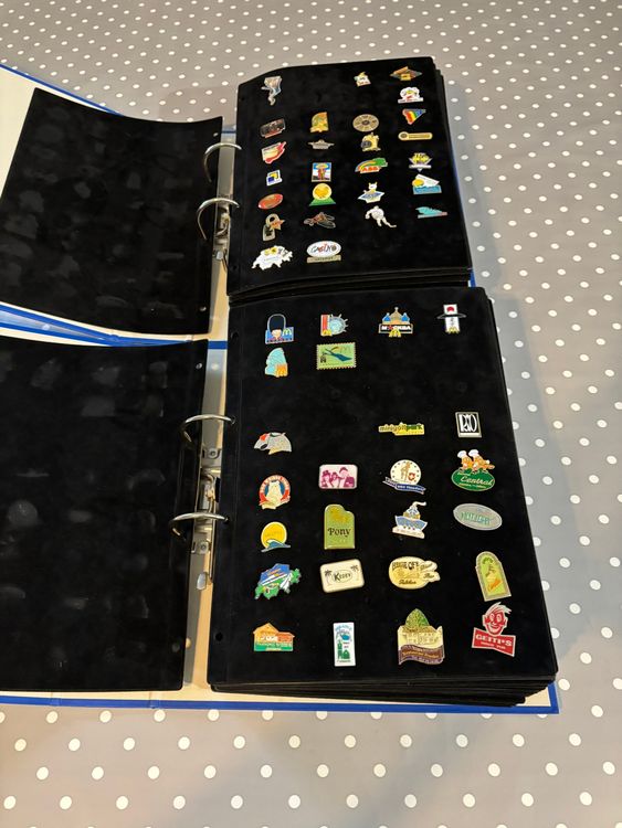 Pins Sammelalbum + 100 verschiedene Pins (Gebraucht) in Lanzenneunforn ...