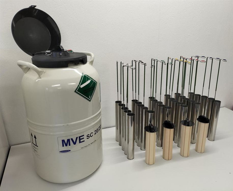 SC 20/20 Cryogenic Sample Storage 20.5L (Gebraucht) in Niederdorf für ...