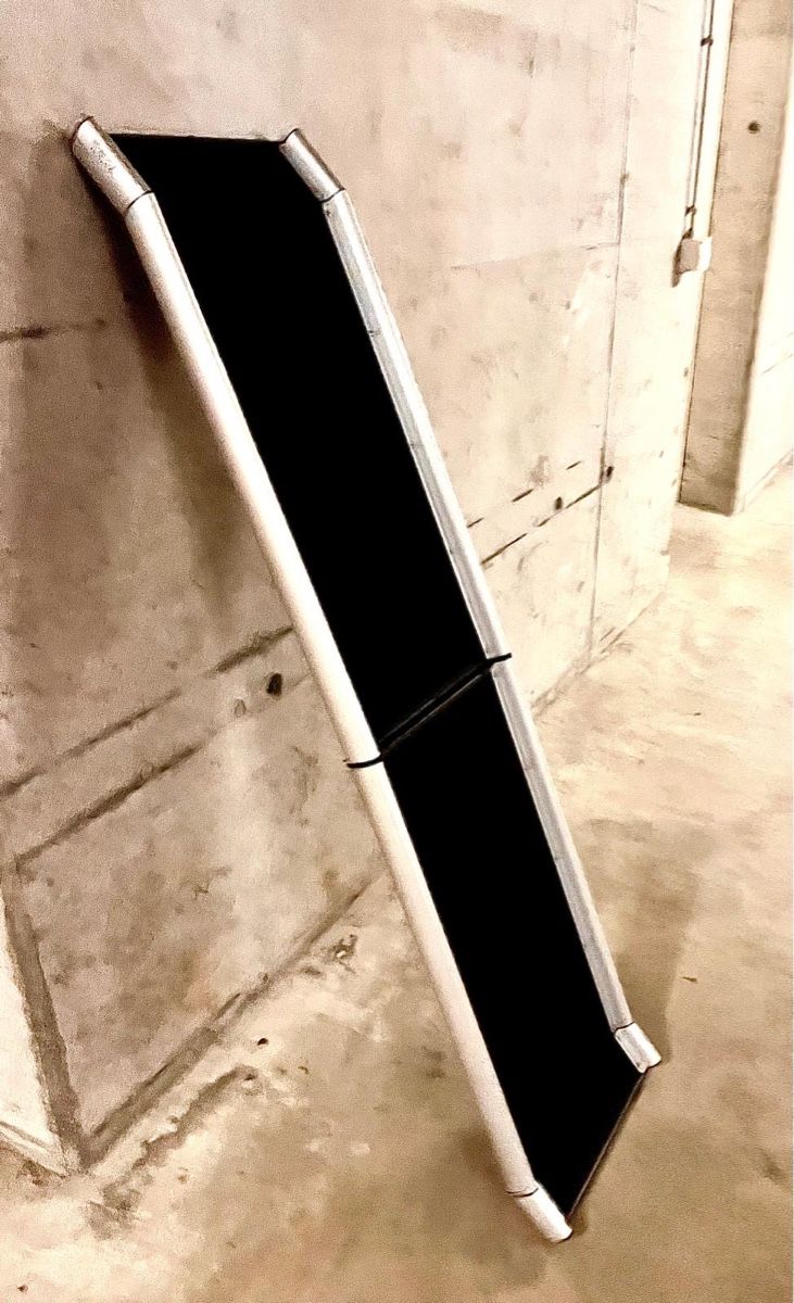 Trixie Hunderampe für Auto (Gebraucht) in Bäretswil für CHF 80 – nur ...