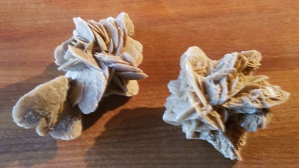 Sandrose Lot zwei Stück 12cm & 18cm | Kaufen auf Ricardo