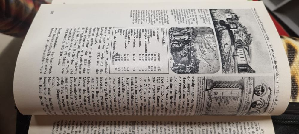 Die Schweiz - Vom Bau der Alpen bis zur Frage nach der Zukun (Gebraucht ...