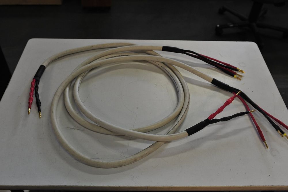 RSC Prime BiWire Speaker Cable by Tara Labs 2x2,2m (Gebraucht) in ...