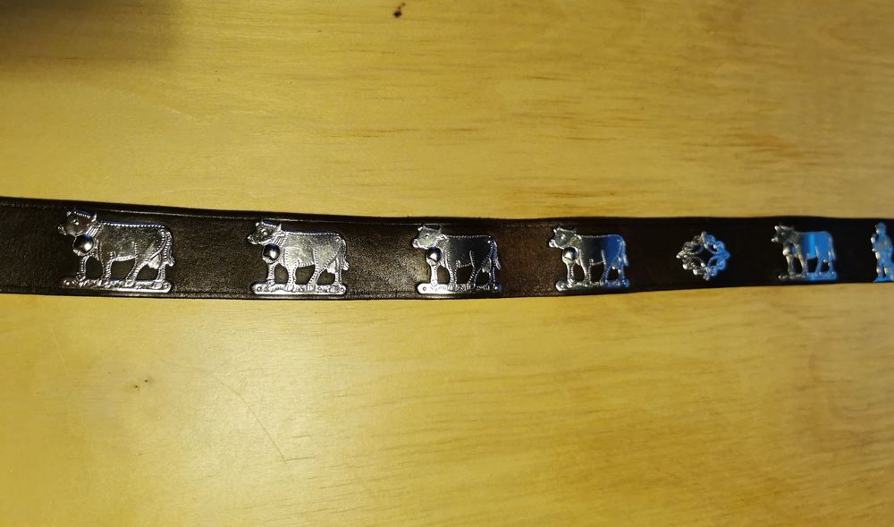 Appenzeller Chüeligurt (Gebraucht) in St.Gallen für CHF 50 – mit ...