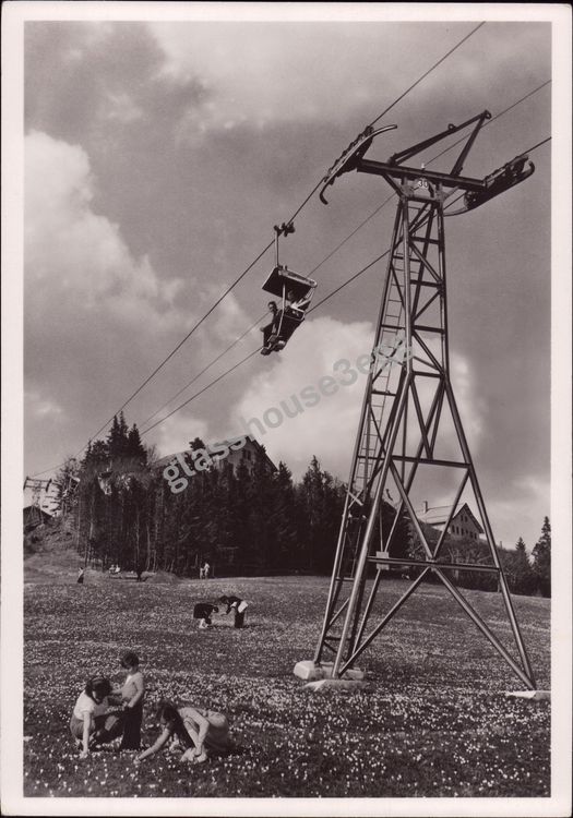 AK Bergbahn Weissenstein - Frühling auf der Bergweide (Gebraucht) in ...