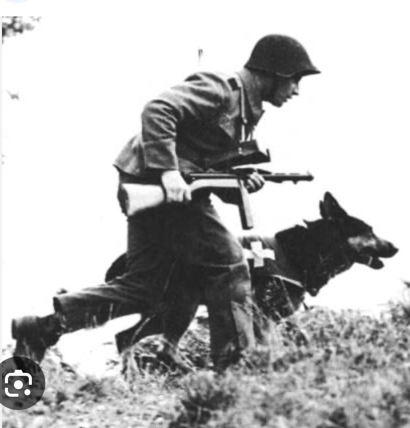 Uniforme chien militaire ww2 uniforme hund 1944 (D'occasion) à Nyon ...