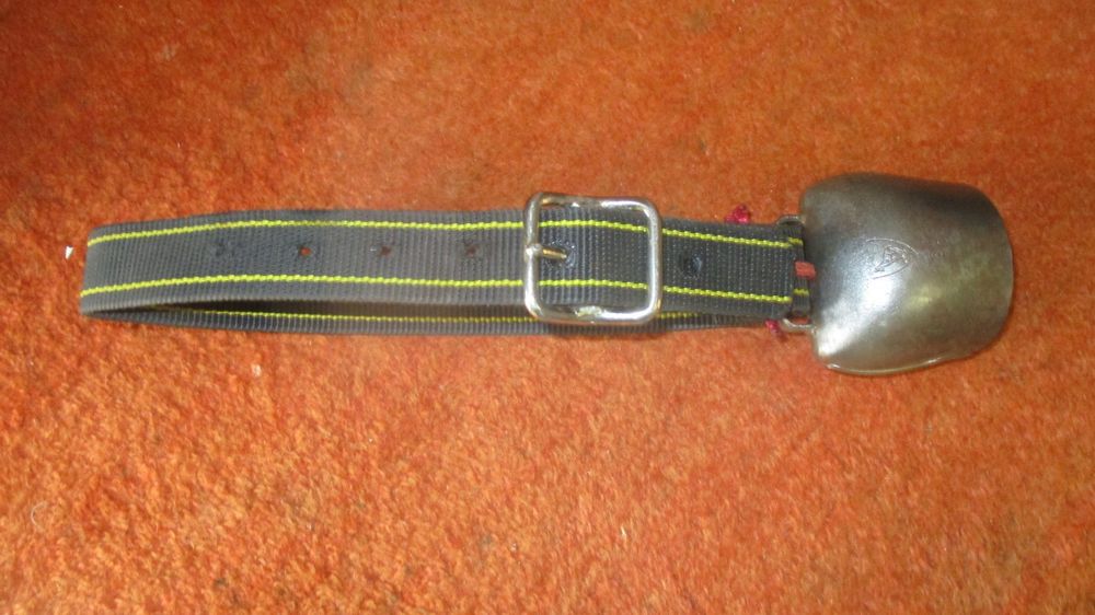 Treichel | Kaufen auf Ricardo