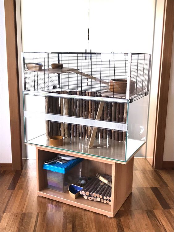 Mäusekäfig Glas / Gitter mit Unterbau (Gebraucht) in Altstätten SG für ...