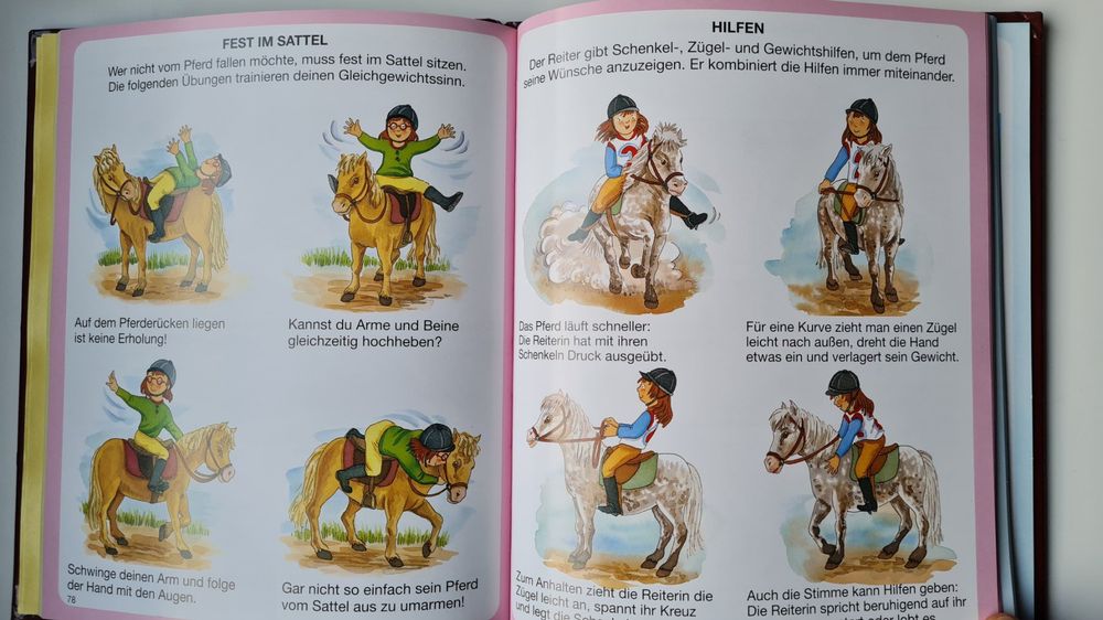 Dein buntes Wörterbuch der PFERDE UND PONYS (Gebraucht) in ...