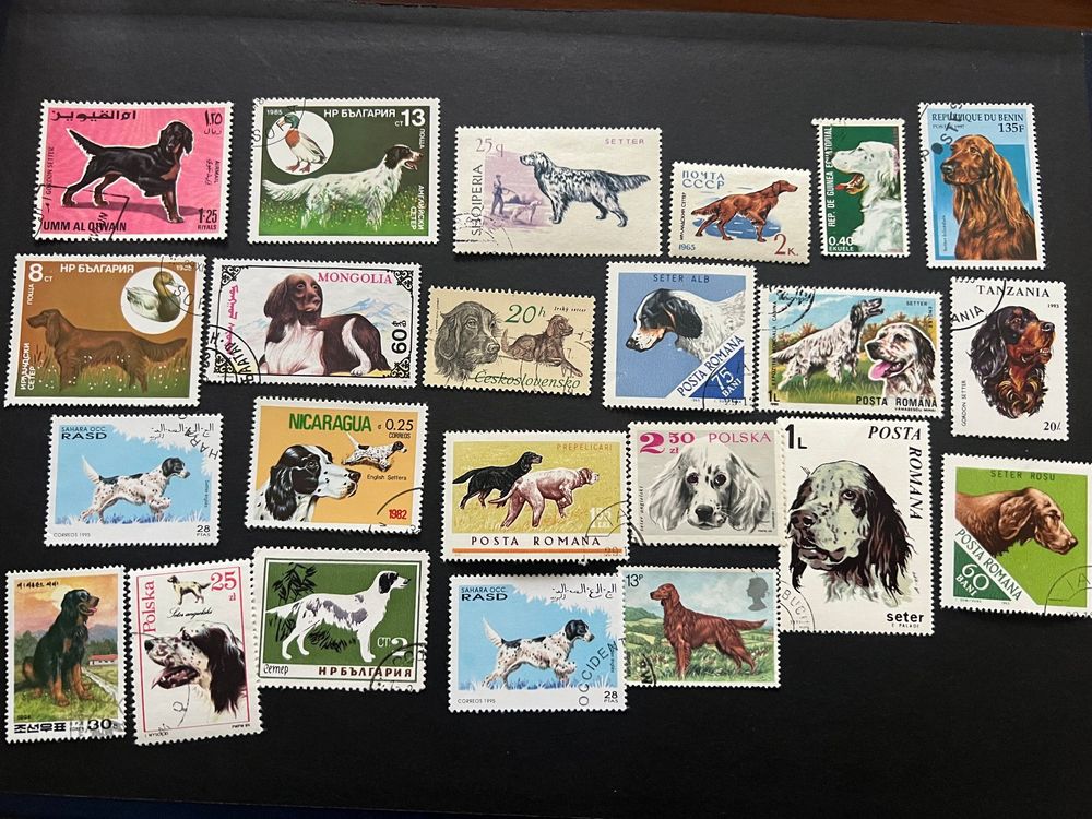 Setter Hunde diverse Länder super gest. + * (B416) (Gebraucht) in Hinwil für CHF 4 – mit ...