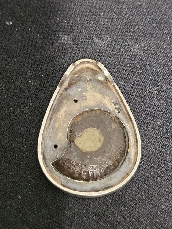 Silberanhänger mit Ammonit Fossil 835 (Gebraucht) in Wolfertswil für CHF 39 – mit Lieferung auf ...