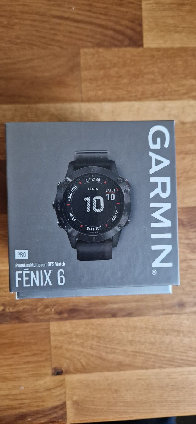 Garmin Fenix 6 Pro Multisport GPS Watch (Gebraucht) in Grand-Lancy für ...