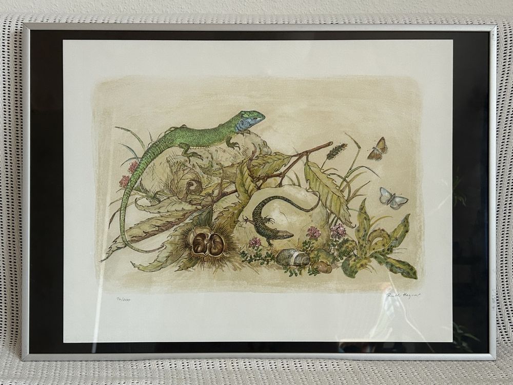 Nummerierte Lithografie mit Eidechsen / Ruth Hagner (Gebraucht) in Himmelried für CHF 21 – mit ...